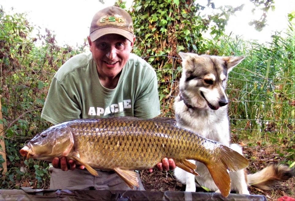 Sunny afternoon Common | Total Carp